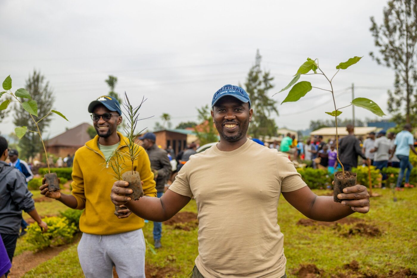 Research has shown that trees and gardens speed up the patients ...